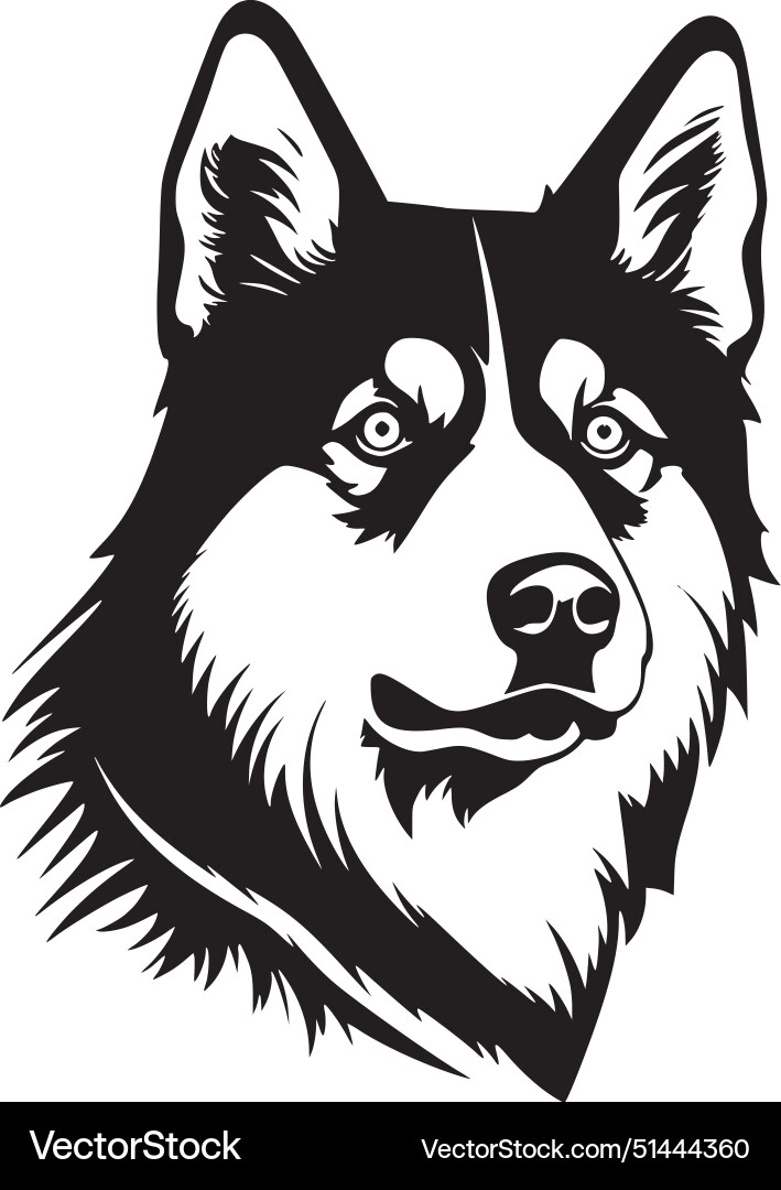 Siberian husky - high quality logo ideal Vector Image