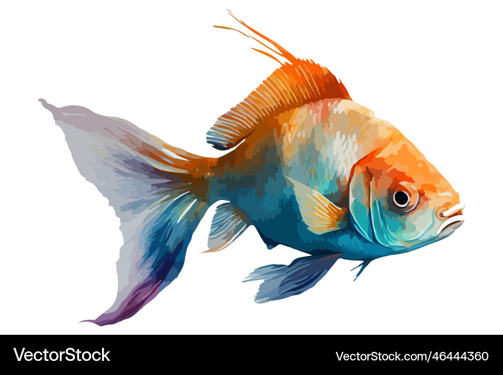 Watercolor fish Royalty Free Vector Image - VectorStock