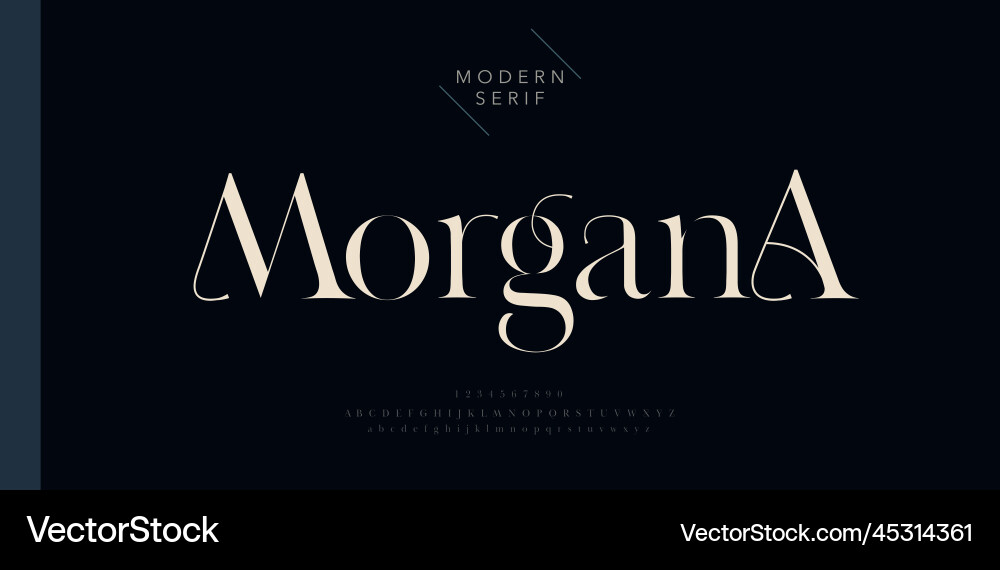 Luxury alphabet letters font typography elegant Vector Image