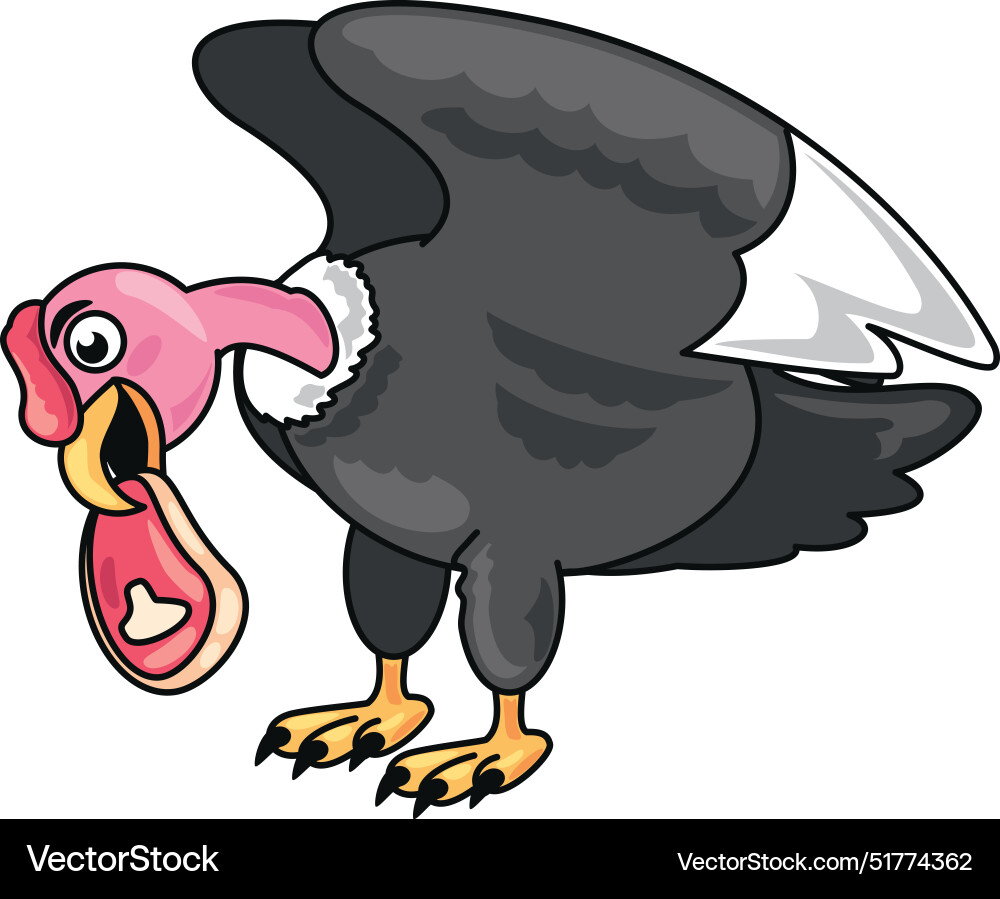Andean condor eating meat Royalty Free Vector Image