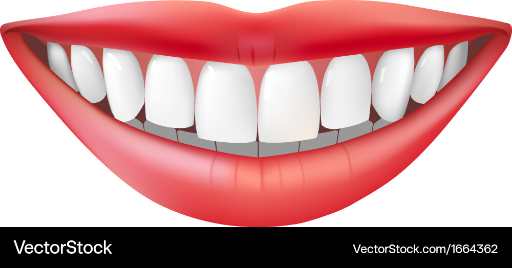 Beautiful smile Royalty Free Vector Image - VectorStock