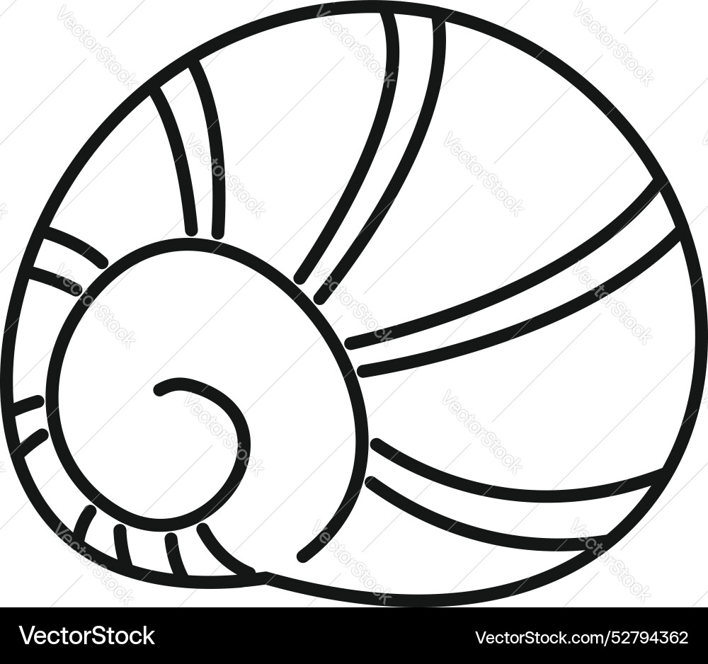 Spiral seashell showing growth stages in black Vector Image