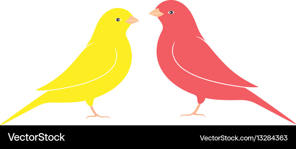 Canary Royalty Free Vector Image - VectorStock