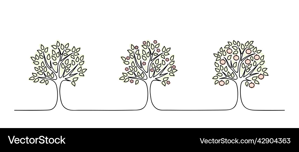How to grow an apple tree growing stage Royalty Free Vector