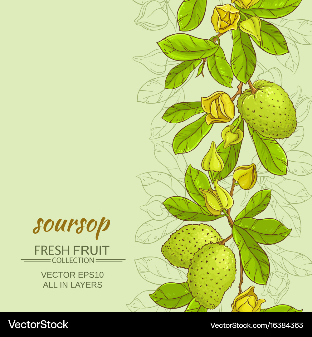 Soursop background Royalty Free Vector Image - VectorStock