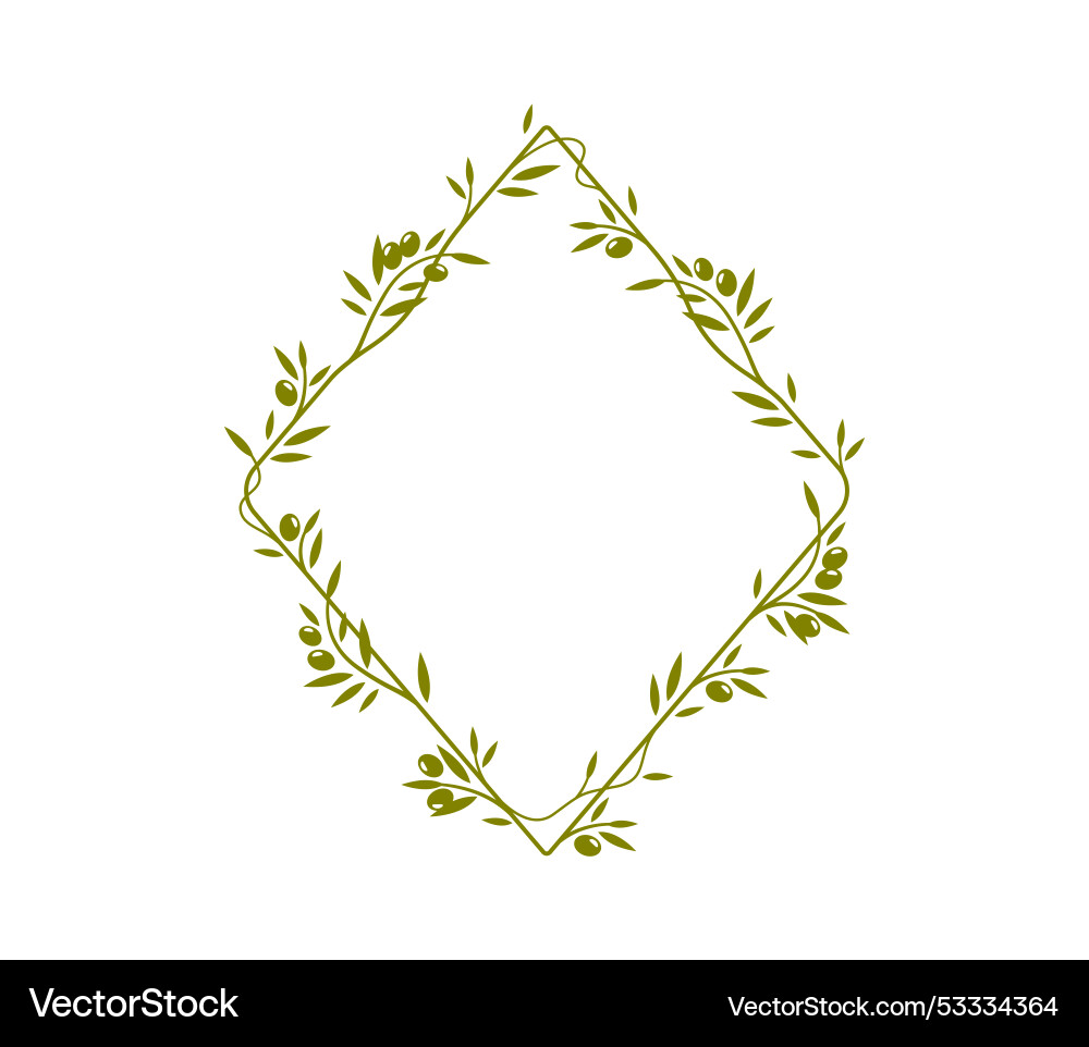Olive tree branch frame or leaves divider border Vector Image