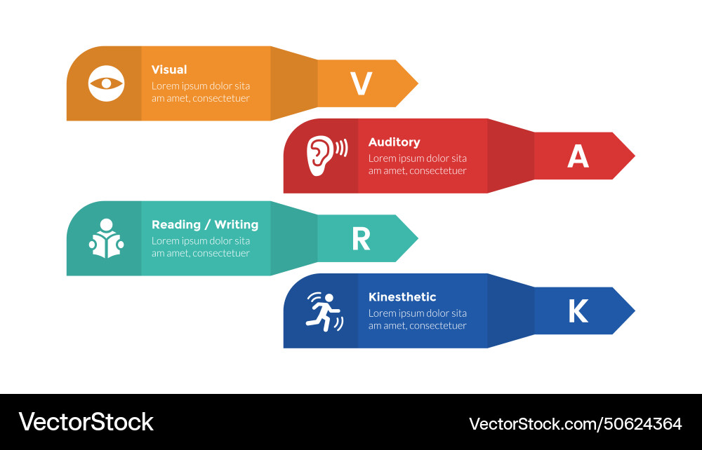 Vark learning styles infographics template Vector Image