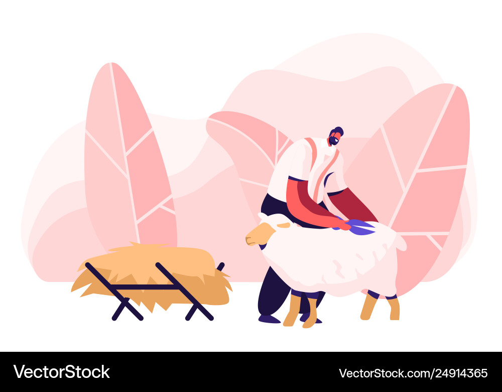 Mature farmer shearing sheep for wool in barn Vector Image