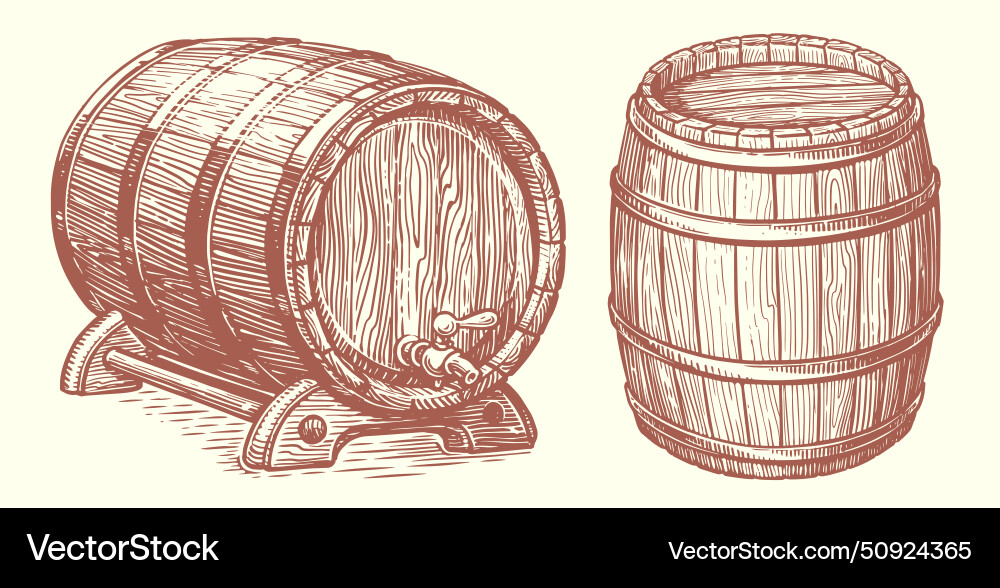 Oak barrel hand drawn wooden cask Royalty Free Vector Image