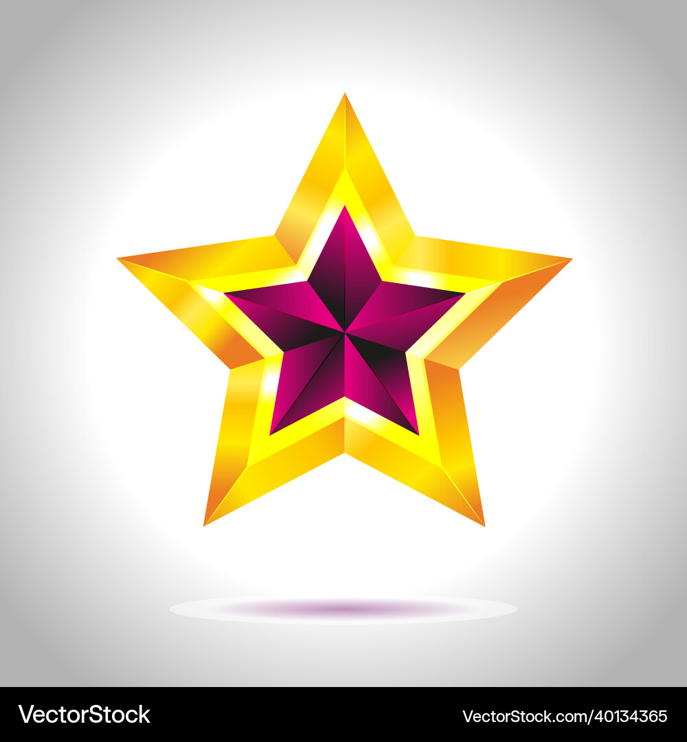 Shiny gold star christmas for design on white Vector Image