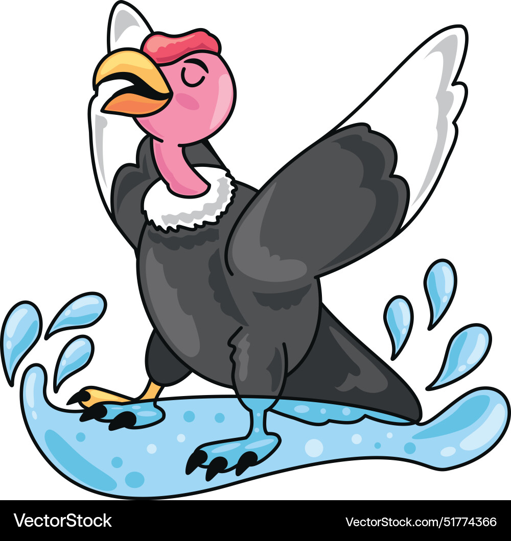 Animal andean condor playing in water Royalty Free Vector