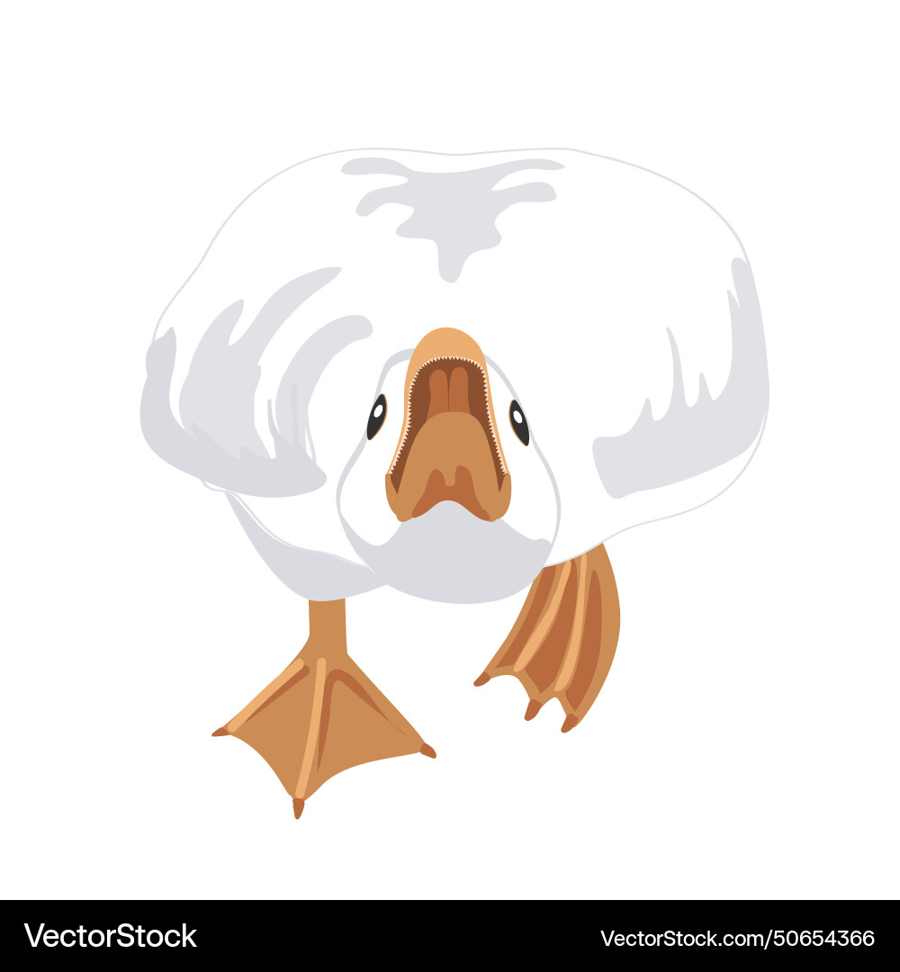 Big angry goose that is running and going to bite Vector Image