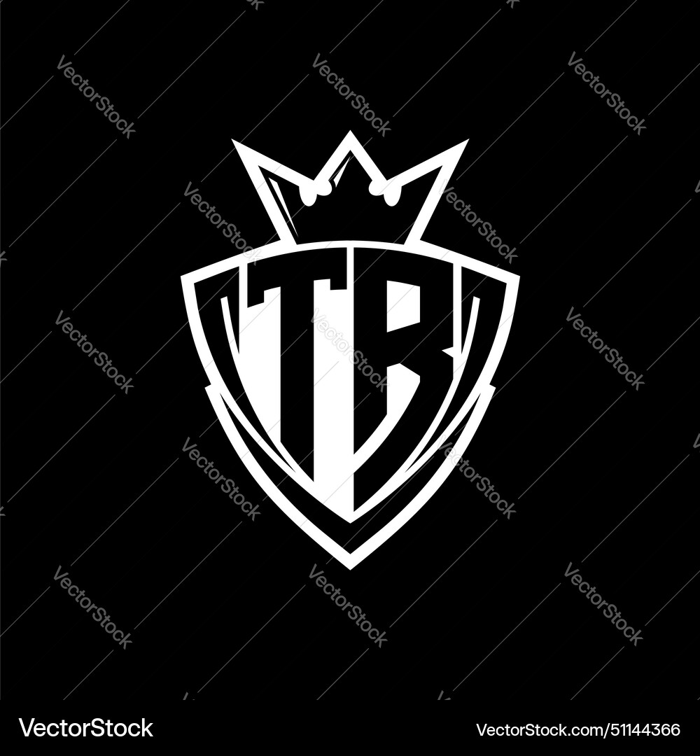 Tr letter logo with sharp triangle shield shape Vector Image
