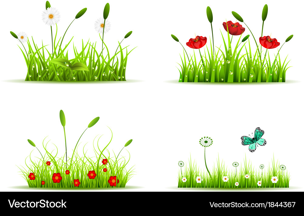 Grass Royalty Free Vector Image - VectorStock