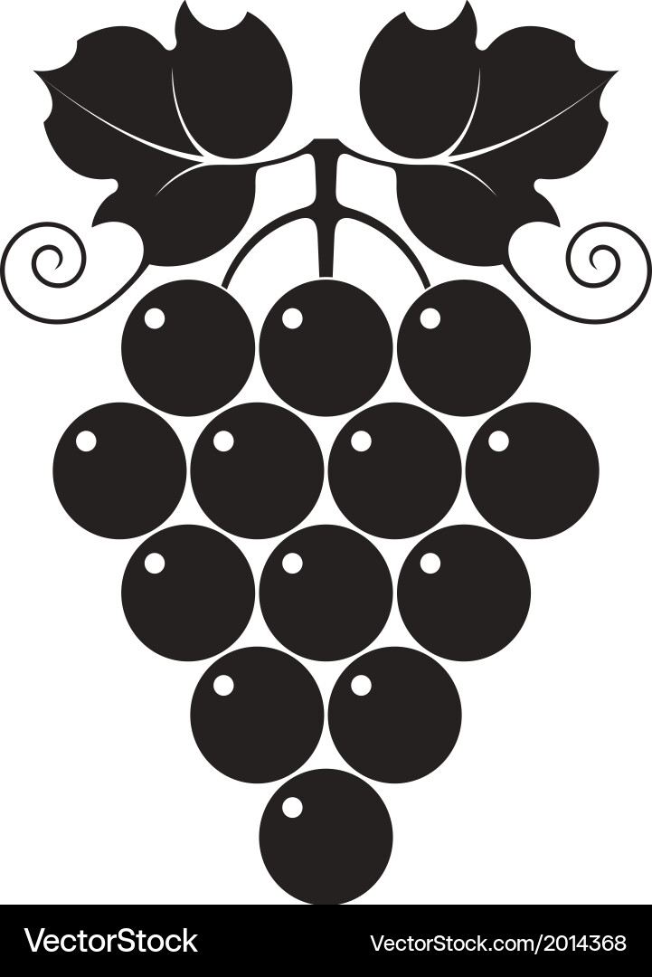 Grape Royalty Free Vector Image - VectorStock