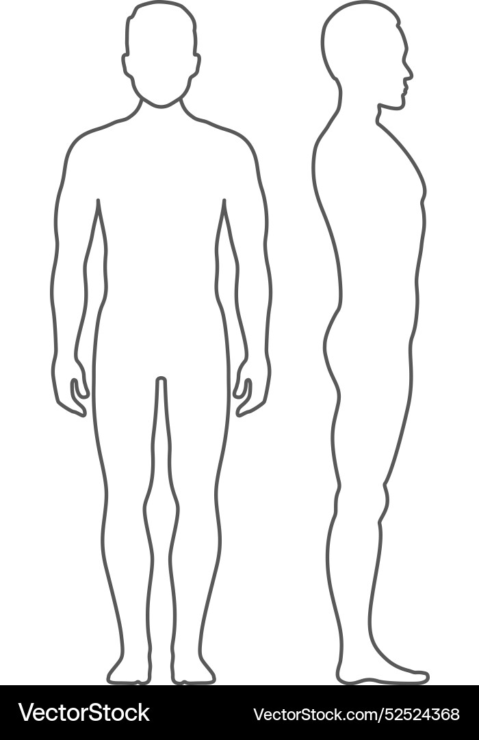 Male figure silhouette human front and side view Vector Image