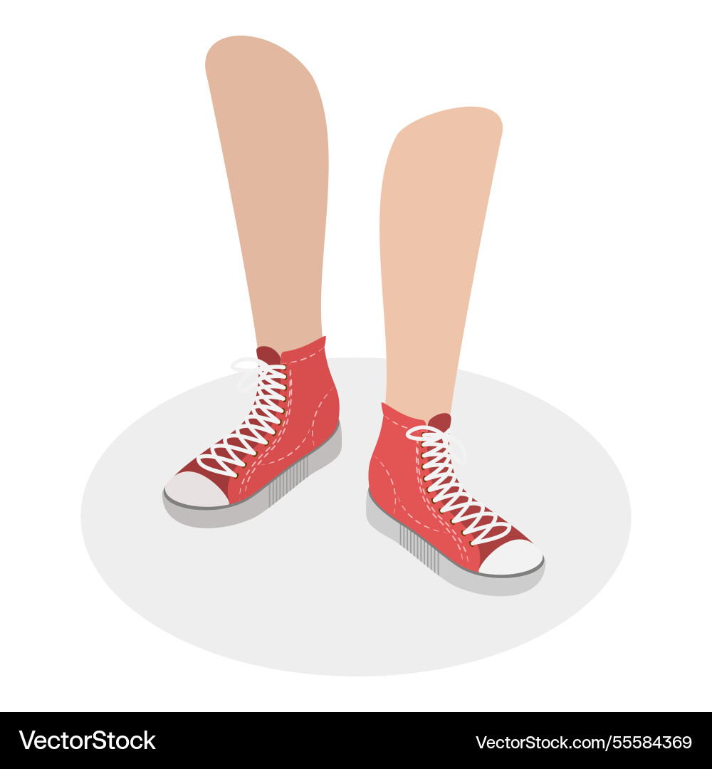 3d isometric flat set of sneakers item 2 Vector Image