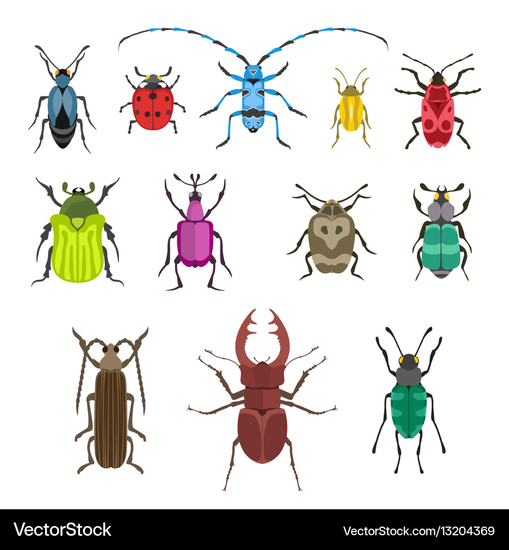 Insect icon flat isolated Royalty Free Vector Image