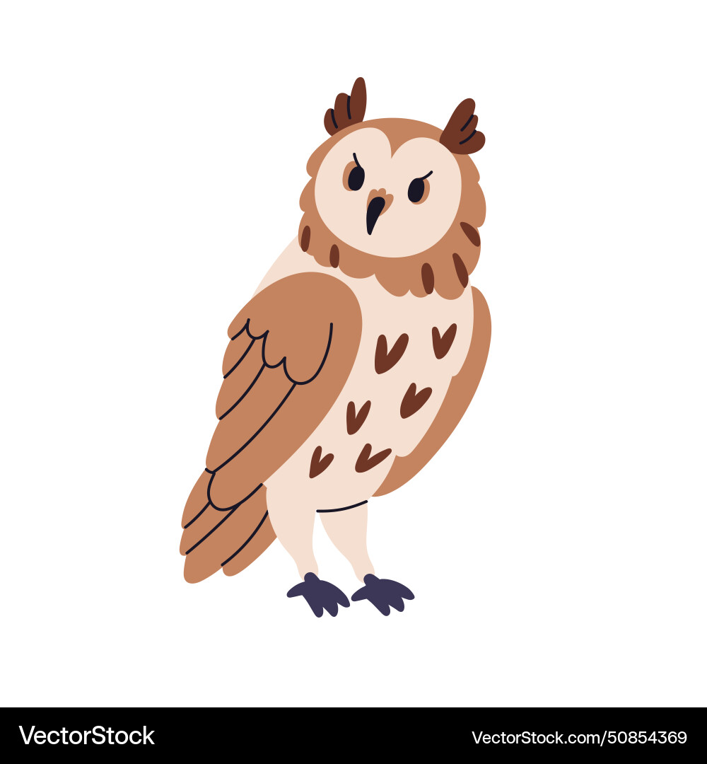 Owl eared bird wild forest feathered animal Vector Image