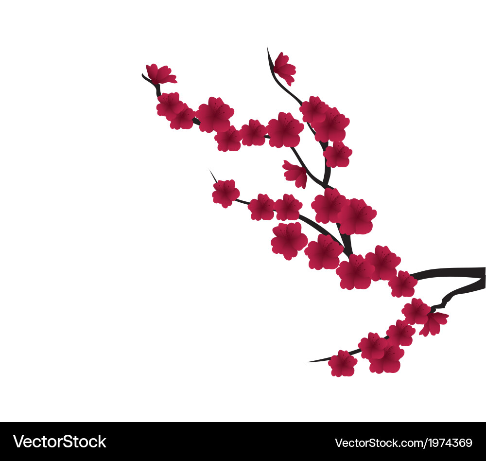 Red flower branch Royalty Free Vector Image - VectorStock