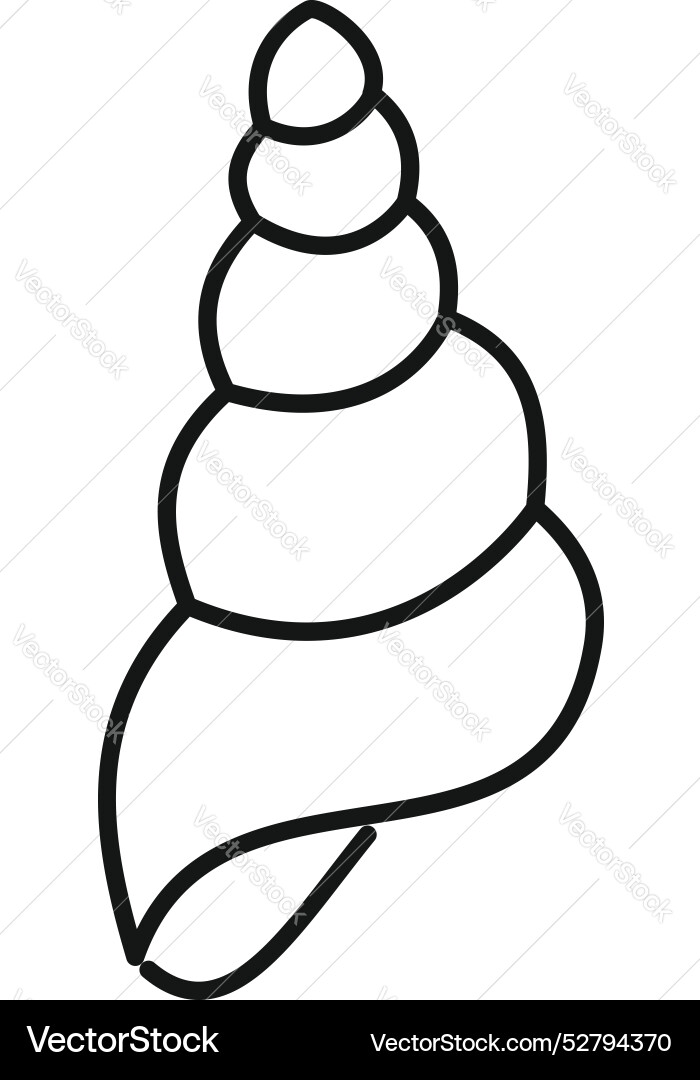 Seashell line art drawing representing marine life