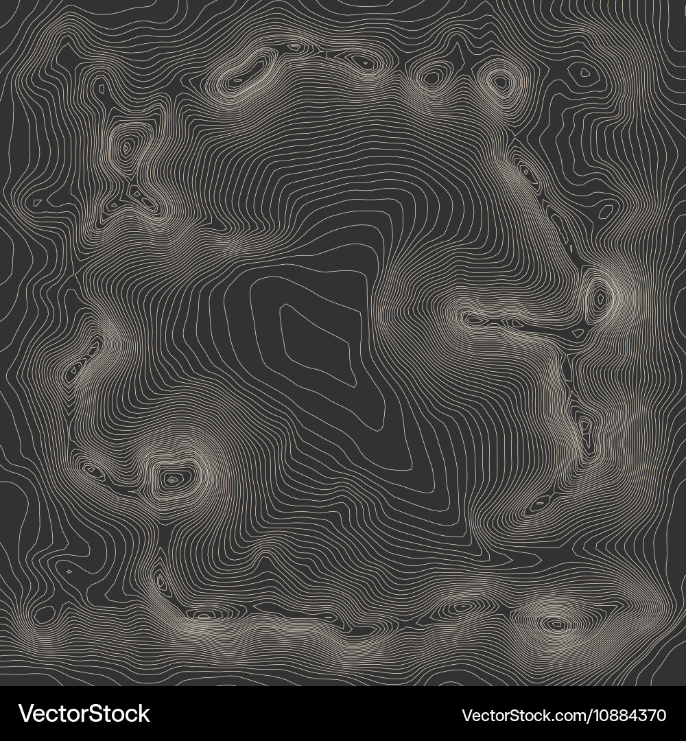 Topographic map background concept with space Vector Image