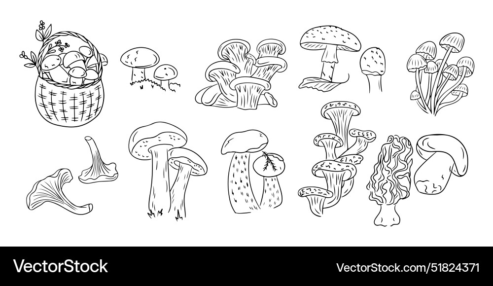 Autumn mushrooms contour doodle set Royalty Free Vector