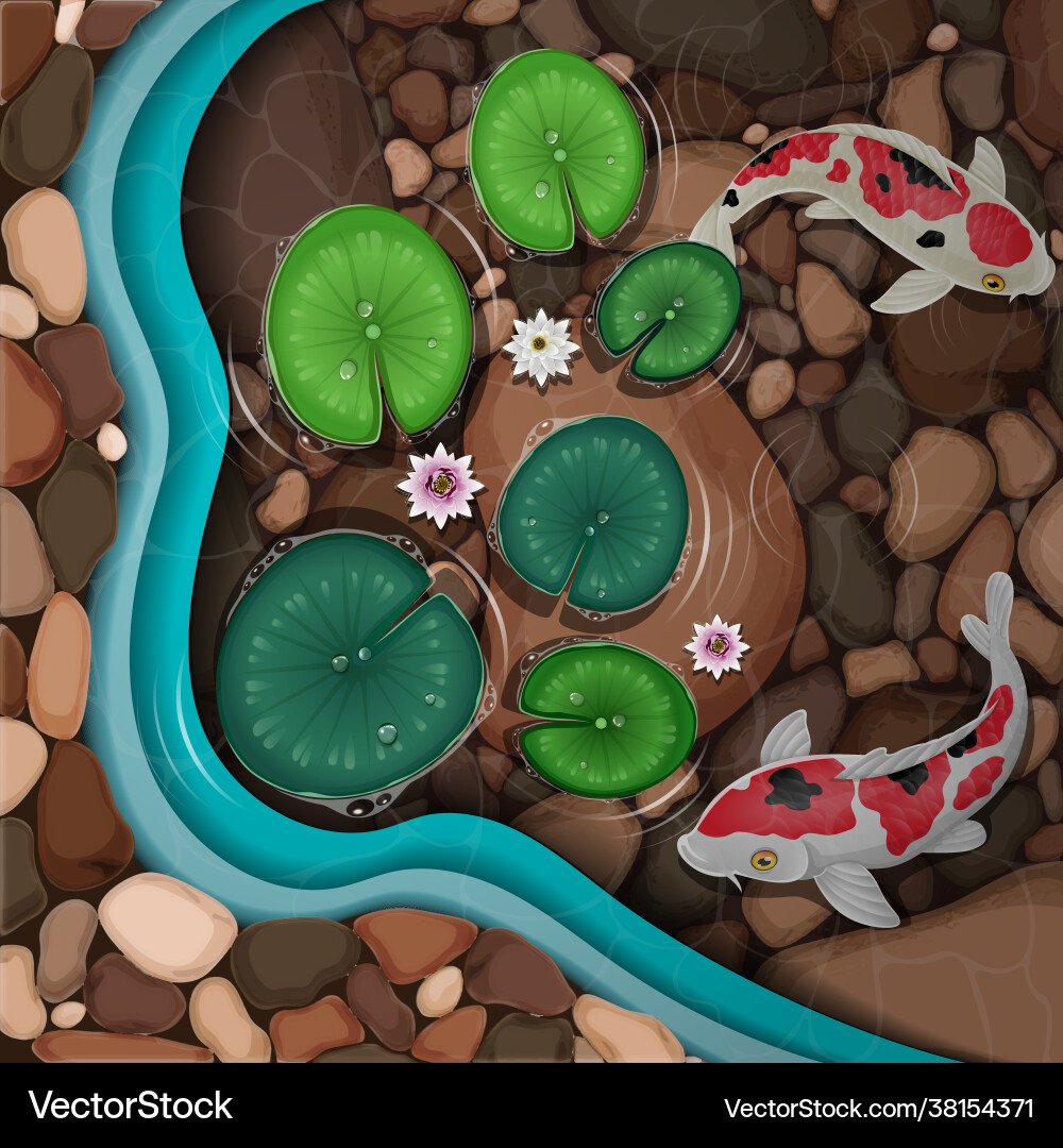 Cartoon koi fish swimming in pond Royalty Free Vector Image