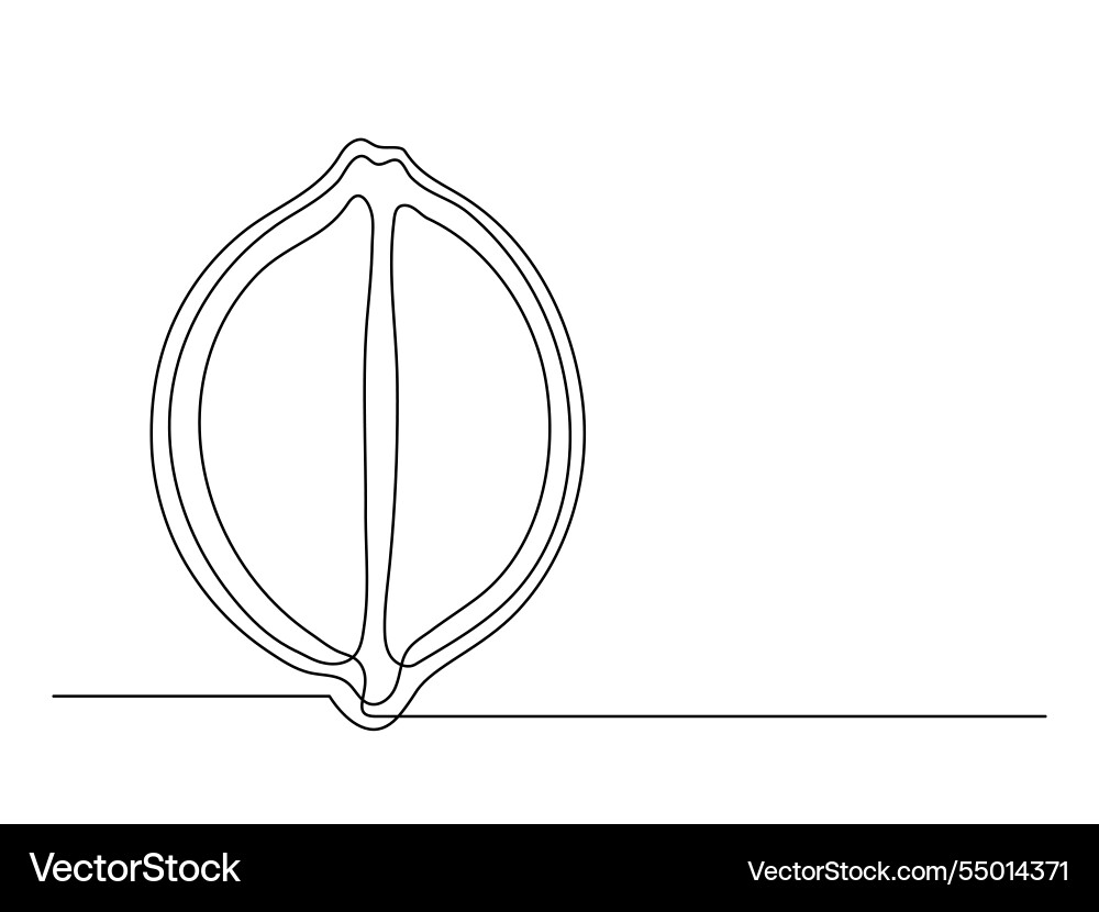 Continuous one line lemon halves Royalty Free Vector Image