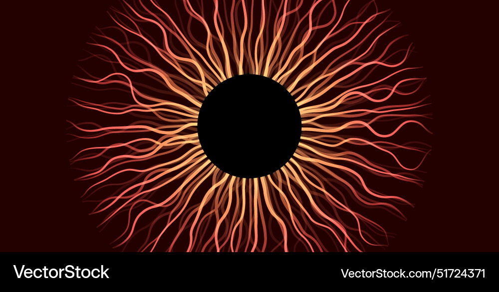 Human iris poster Royalty Free Vector Image - VectorStock