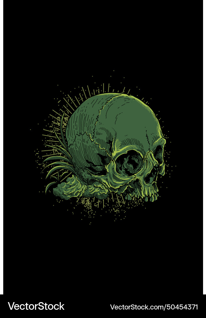 Skull head leaning against rock and grass Vector Image