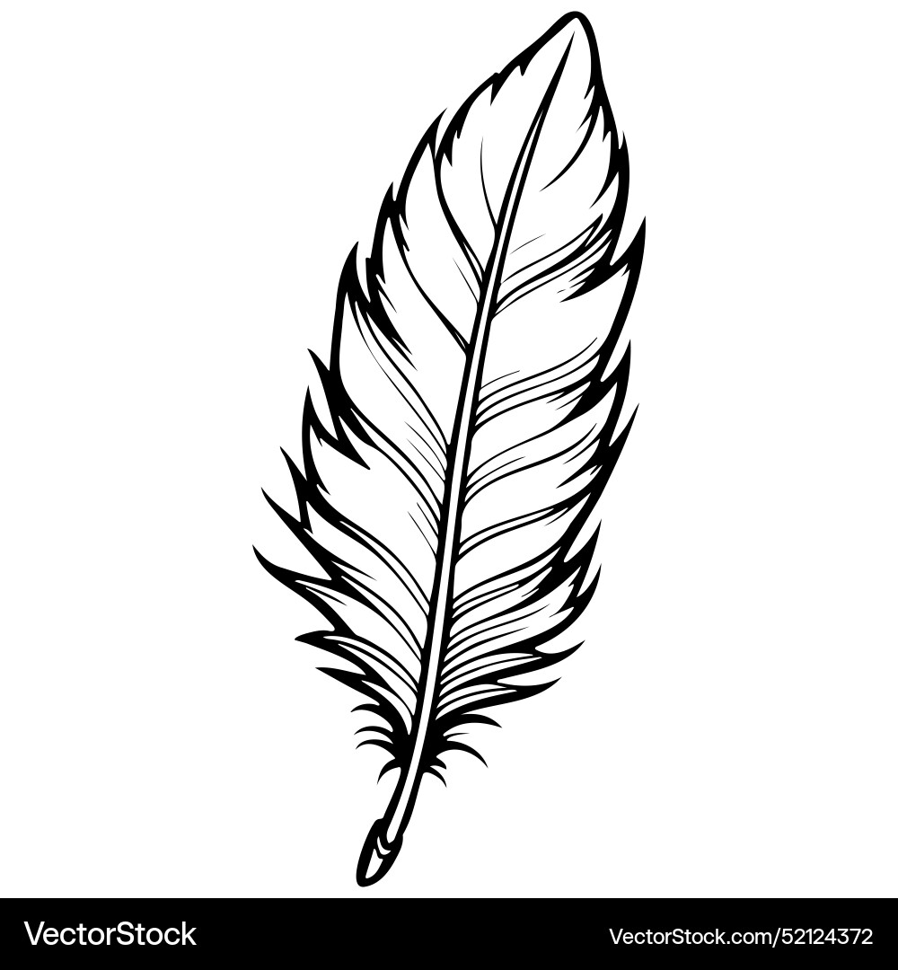 Black cartoon feather monochrome hand drawn line Vector Image