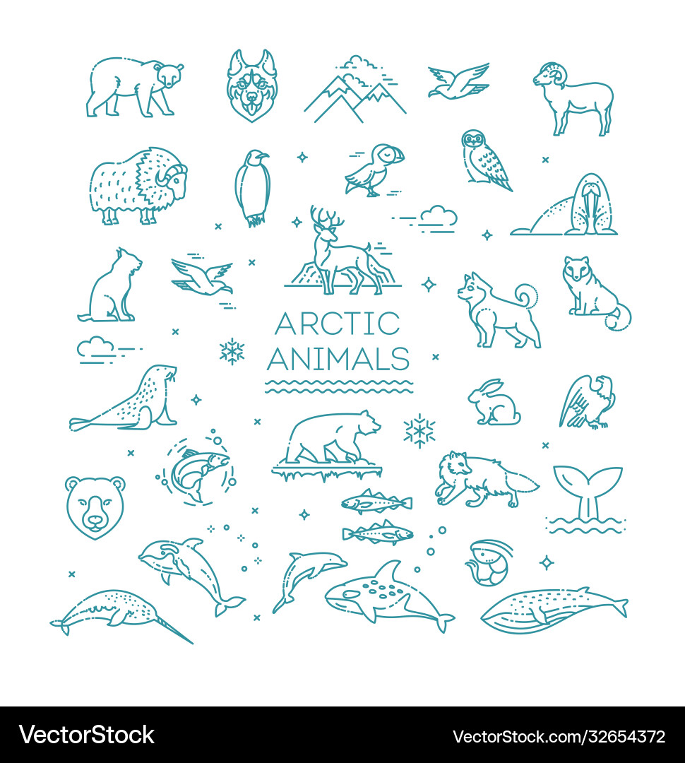 Set linear arctic animals Royalty Free Vector Image