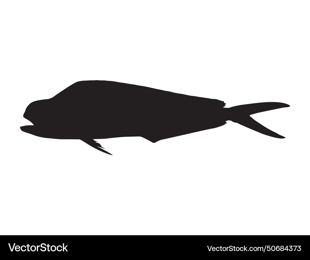 Mahi fish silhouette art Royalty Free Vector Image