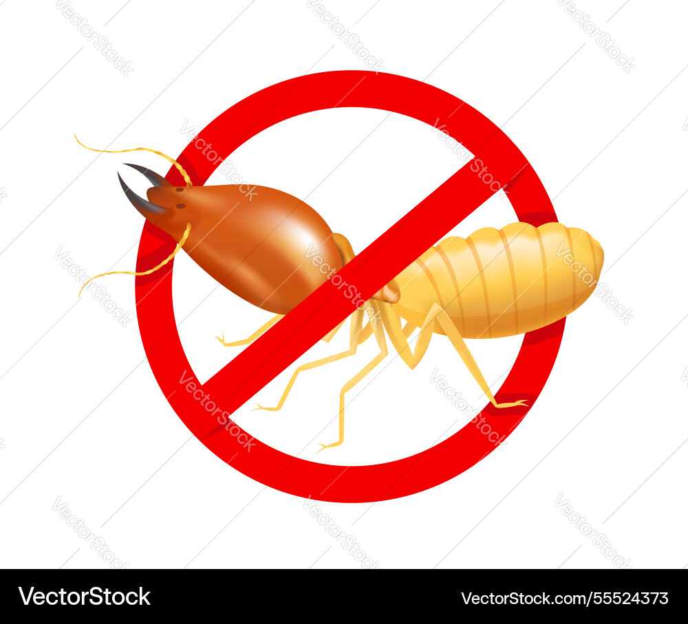 Termite in prohibited red circle sign isolated Vector Image