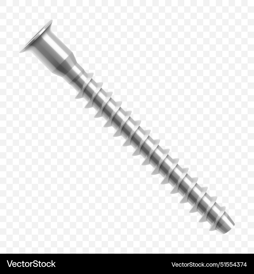 Metal screw isolated on transparent background Vector Image
