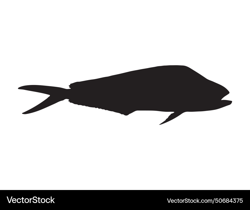 Mahi fish silhouette art Royalty Free Vector Image