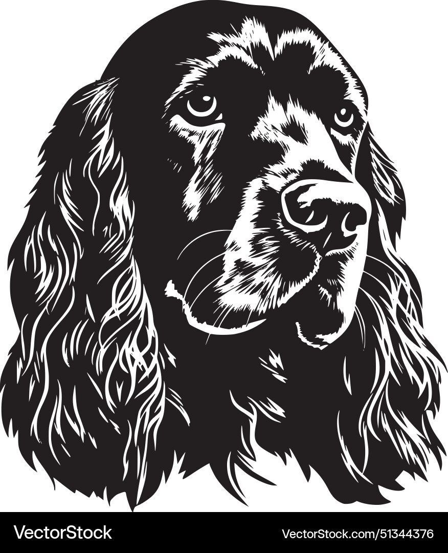 Cocker spaniel - minimalist and simple silhouette Vector Image