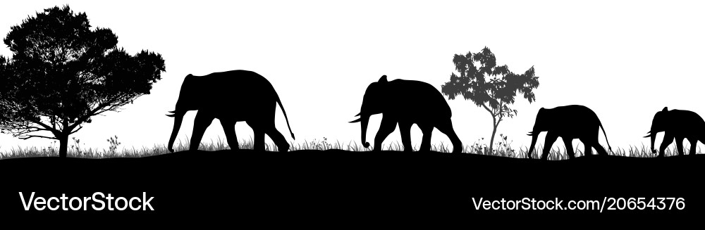 Elephants in the Savannah Royalty Free Vector Image