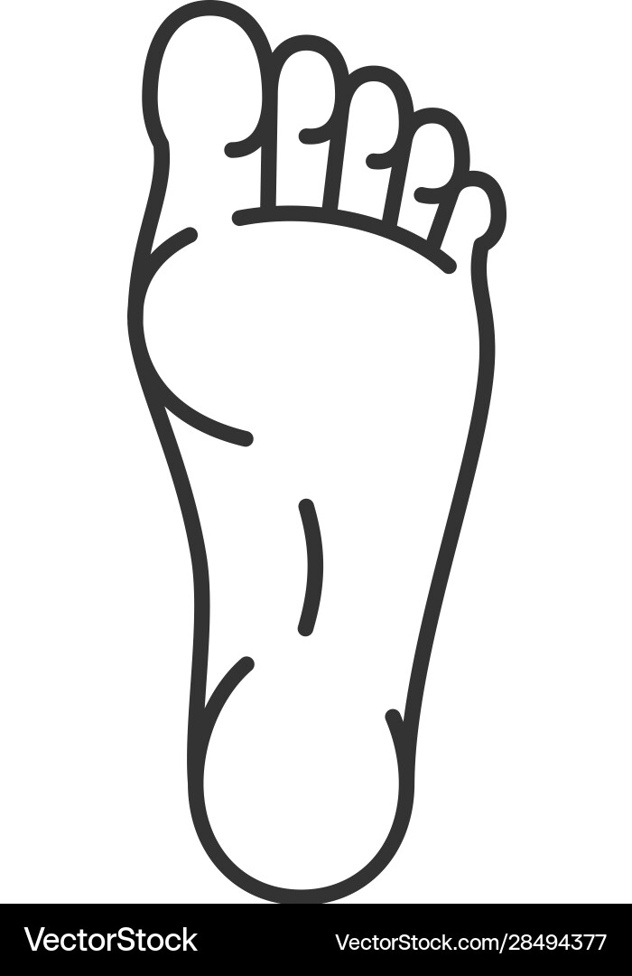 Foot linear icon Royalty Free Vector Image - VectorStock