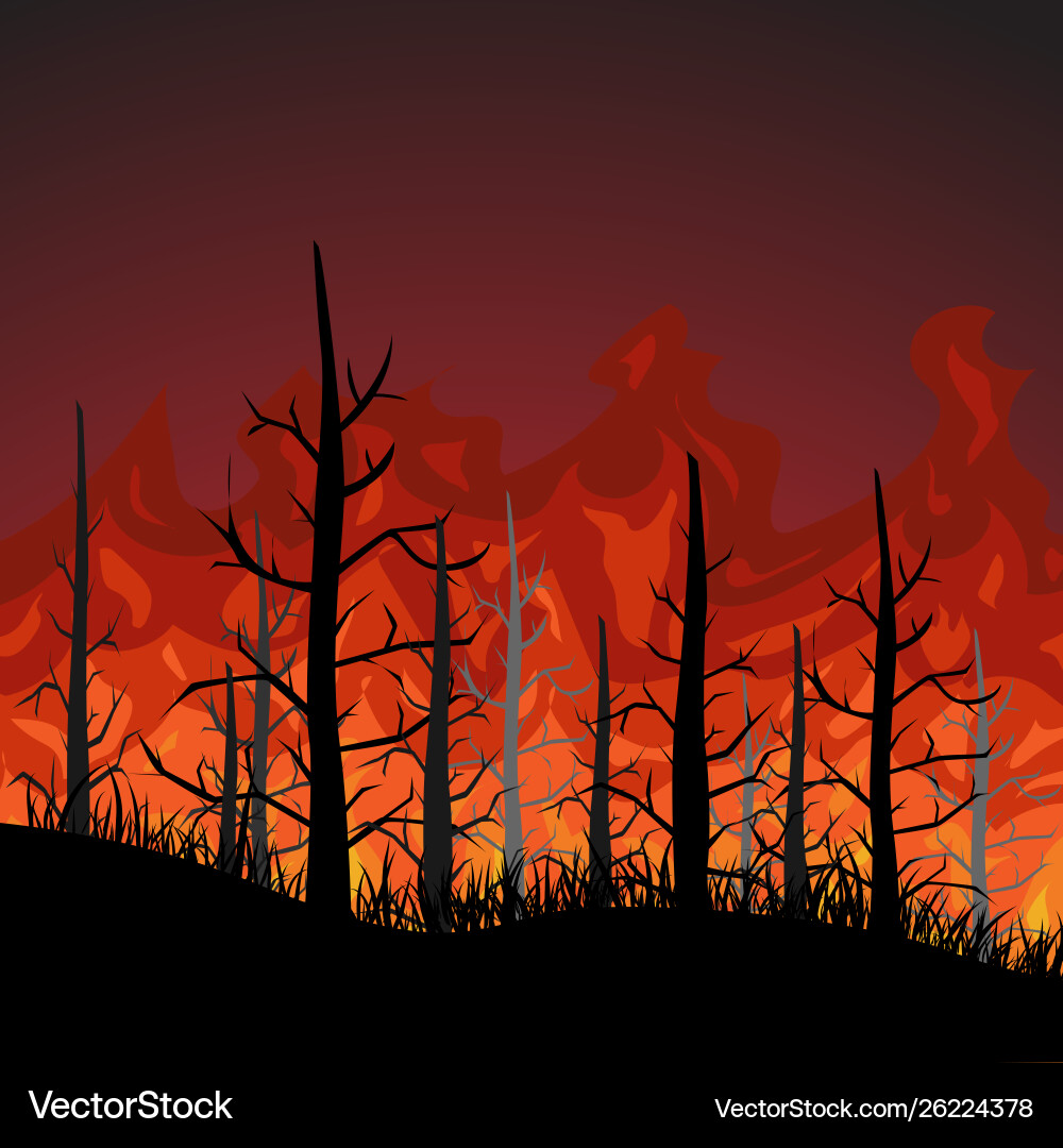 Forest Fire Scene Royalty Free Vector Image - VectorStock