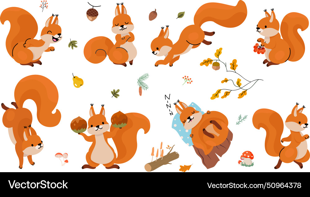Funny squirrel cartoon forest red squirrels Vector Image
