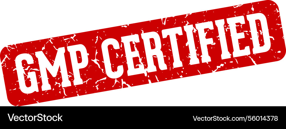 Gmp certified rectangular sign stamp Royalty Free Vector