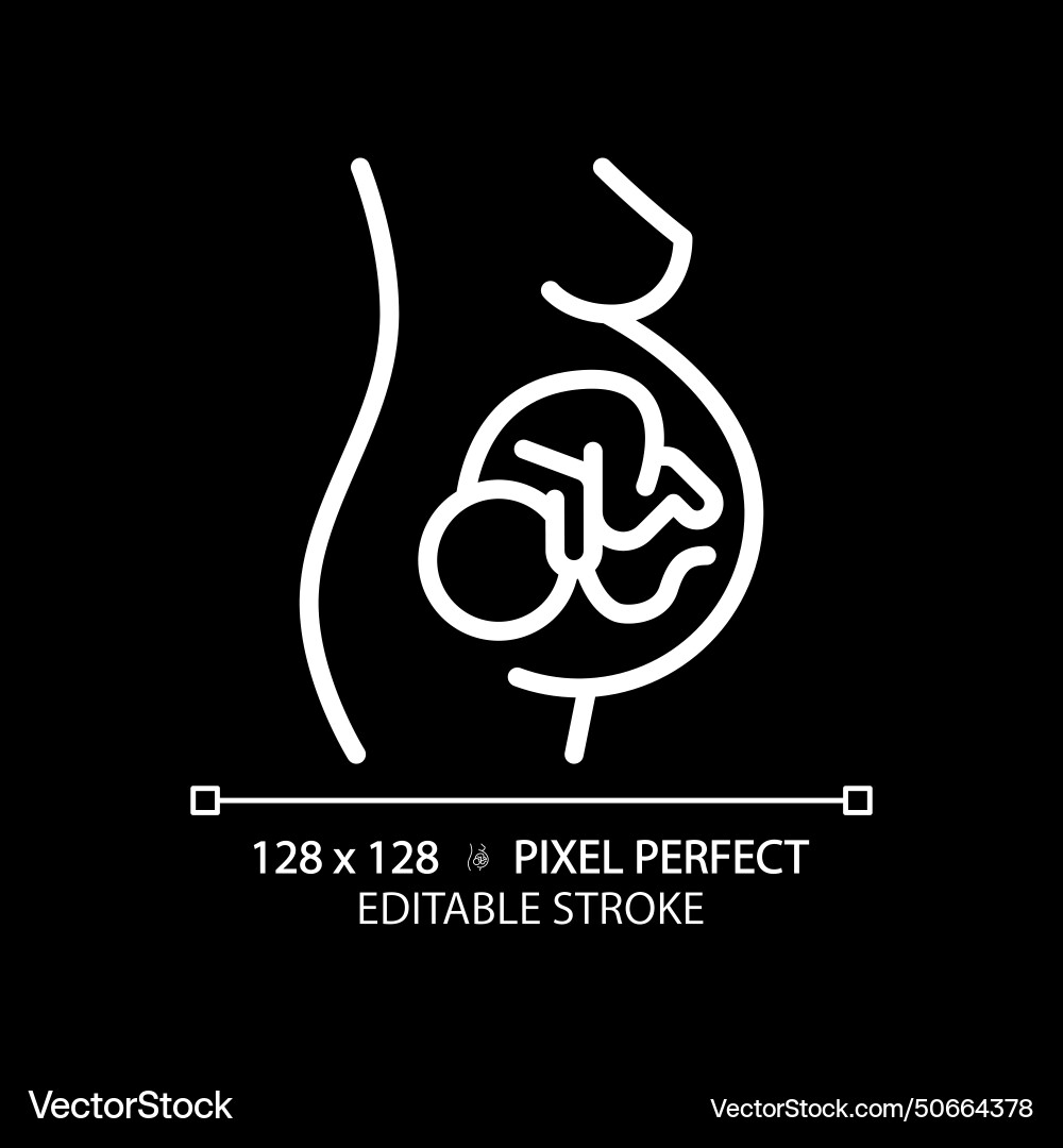 Pregnancy white linear icon for dark theme Vector Image