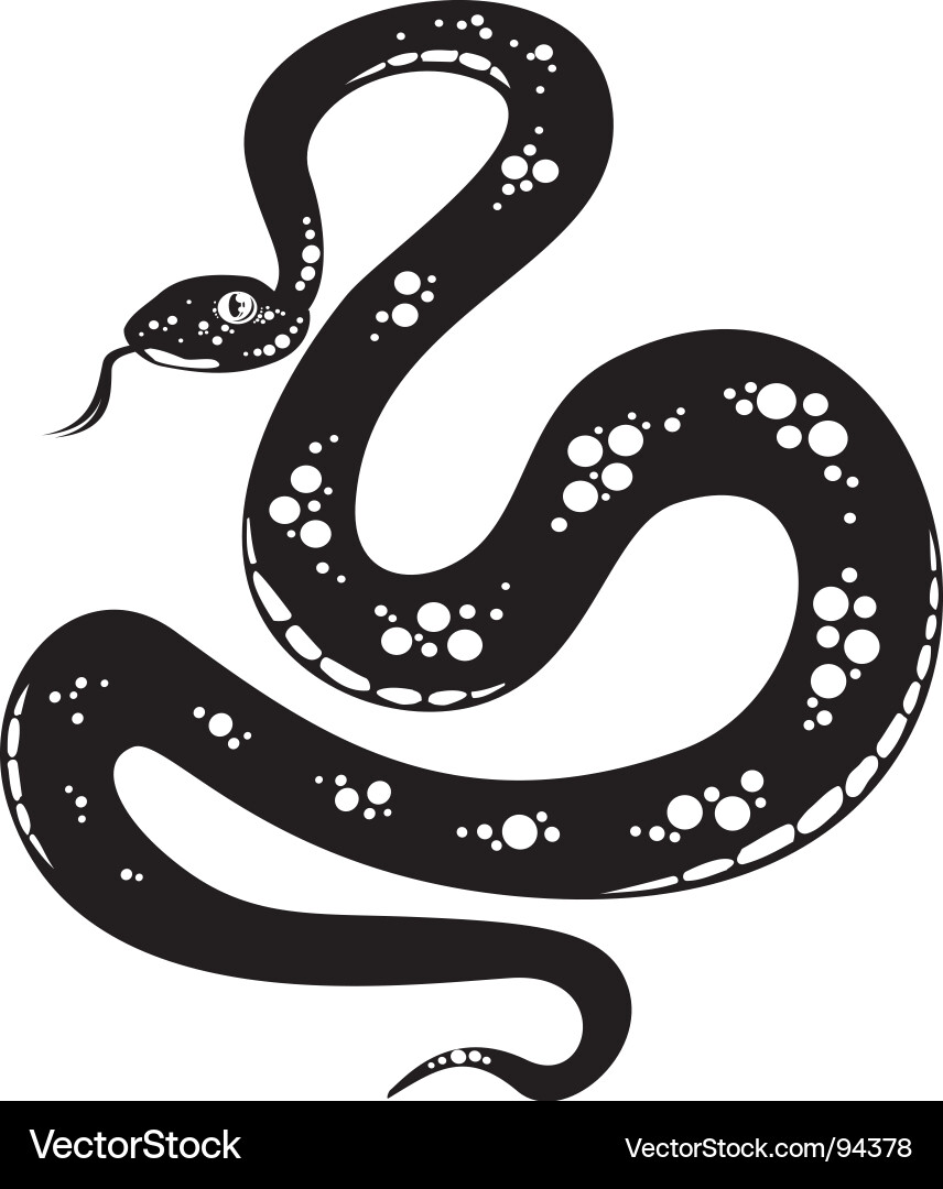 Snake Royalty Free Vector Image - VectorStock