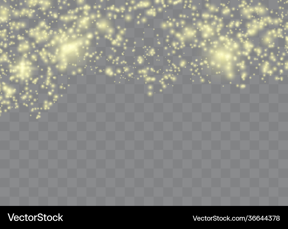 Sparkling magical dust particles the sparks Vector Image