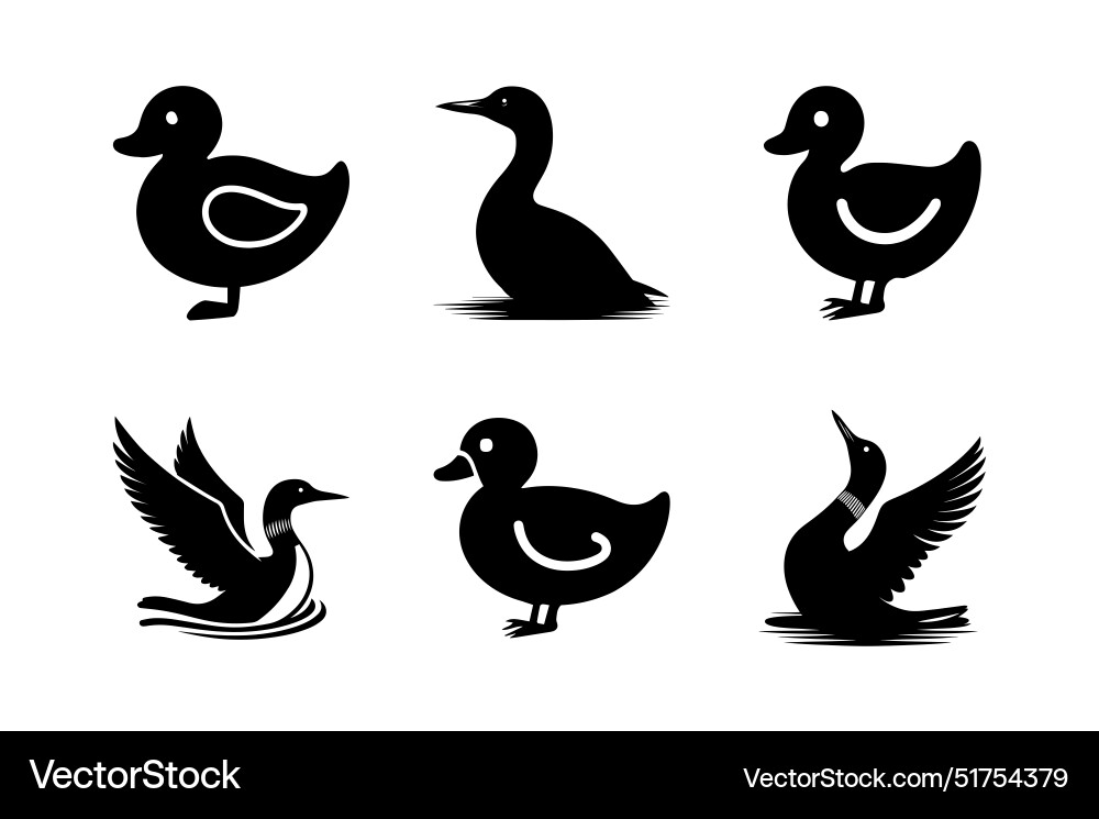 Silhouettes of duck Royalty Free Vector Image - VectorStock