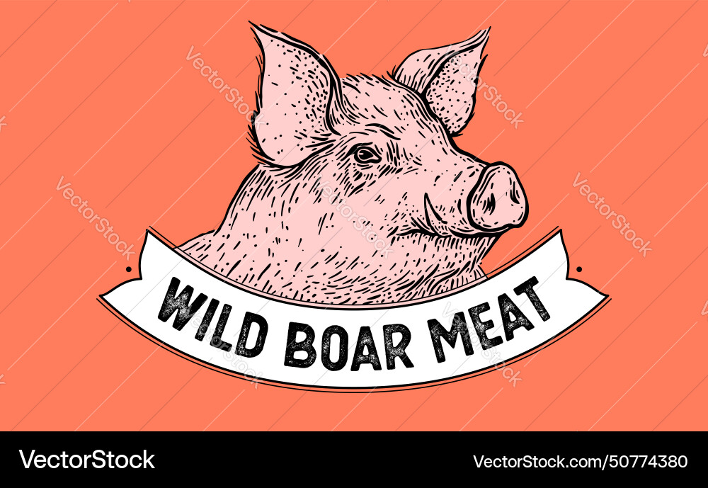 Pork pig hog head meat tag label Royalty Free Vector Image