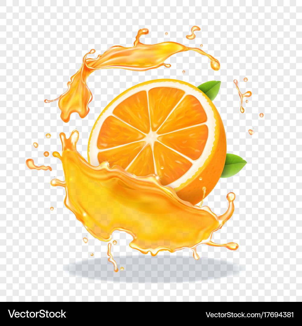 Orange juice splash realistic 3d fruit Royalty Free Vector