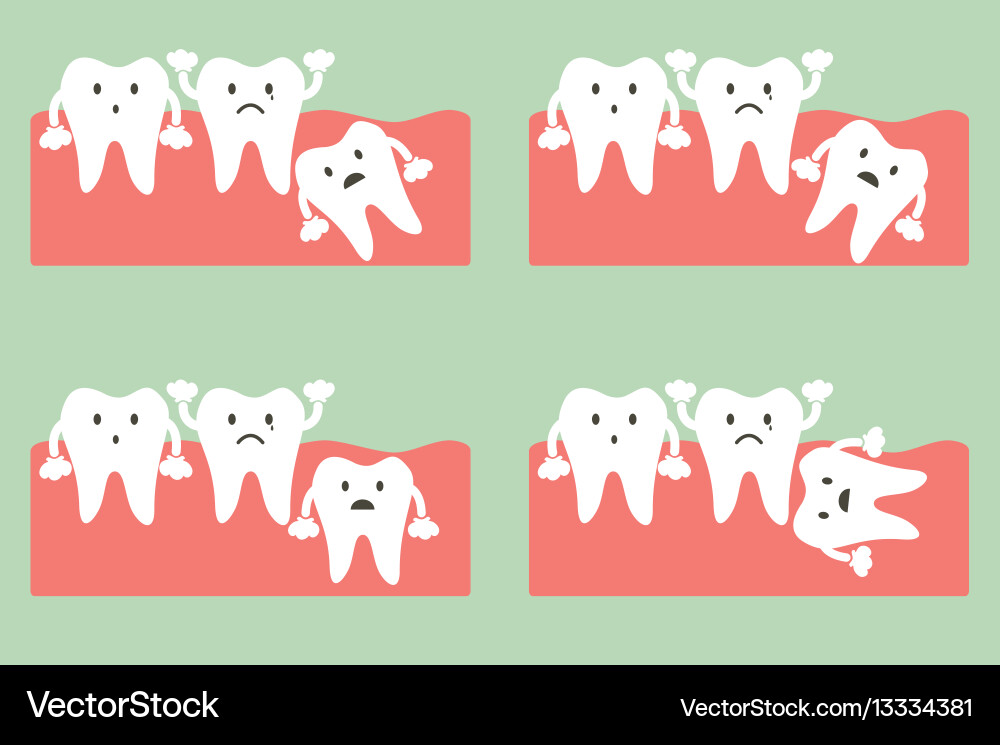 Wisdom tooth Royalty Free Vector Image - VectorStock